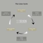Quicklime - Eden Hot Lime Mortar