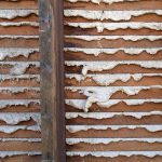 Timber Lath - Eden Hot Lime Mortar